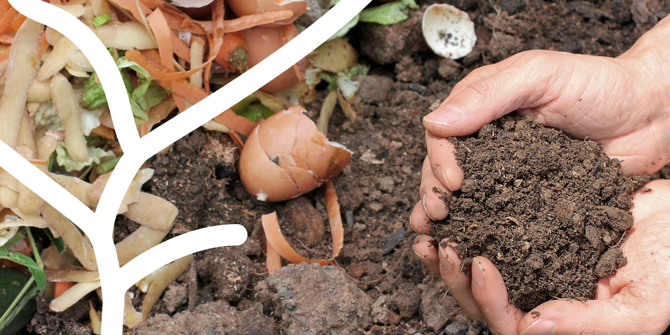 ¿Cómo saber si está listo nuestro compost? - CCESantiago